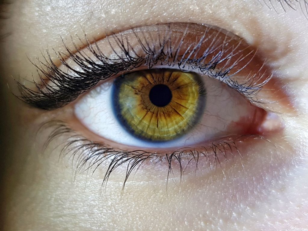 What Color Are Hazel Eyes? Discovering Their Unique Charm
